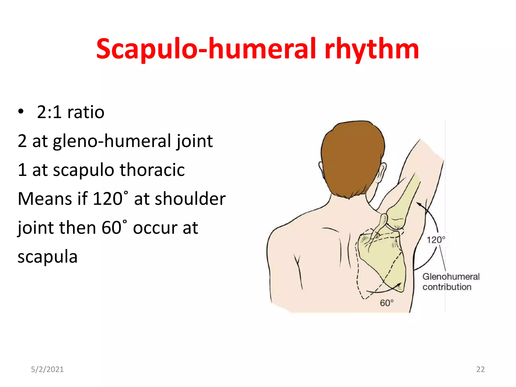 Shoulder joint | PPTX