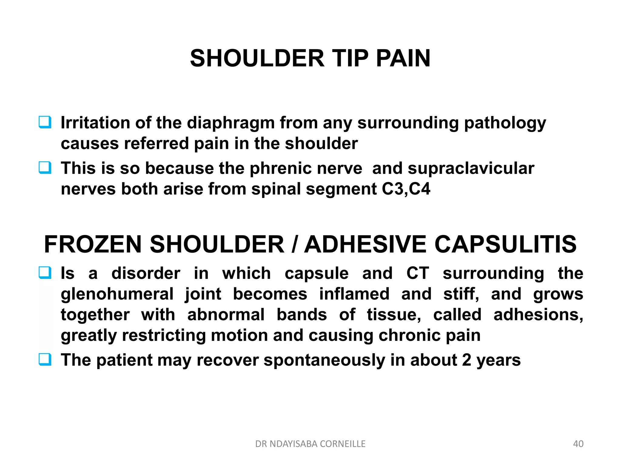 Shoulder joint | PPT