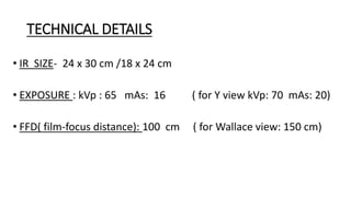 SHOULDER JOINT.pptx