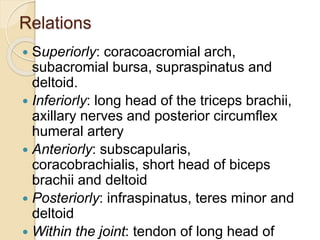 Shoulder joint complex ppt with proper diagram | PPTX