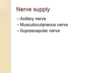 Shoulder joint complex ppt with proper diagram | PPTX