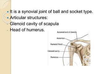 Shoulder joint complex ppt with proper diagram | PPT