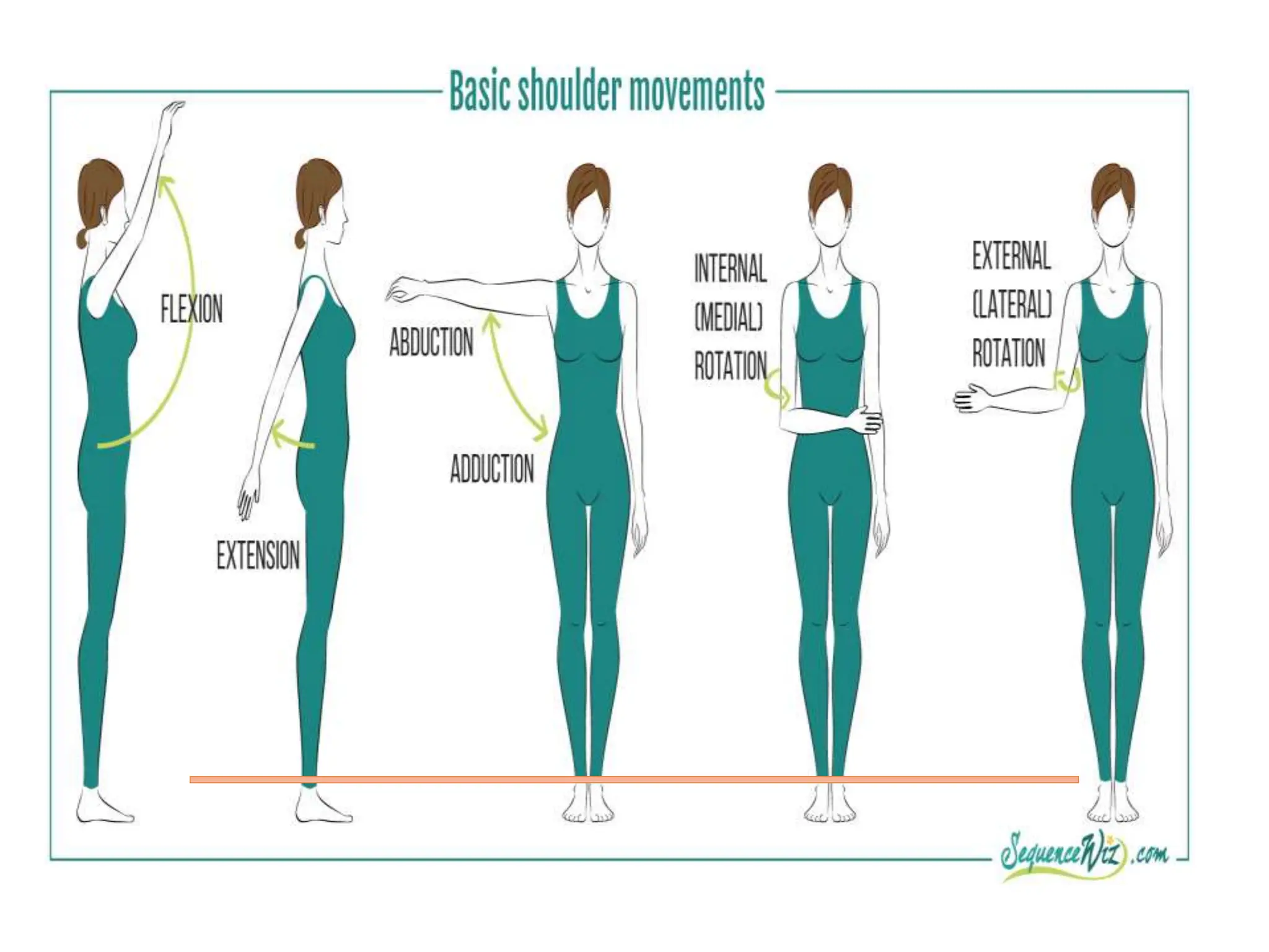 Shoulder Joint - Introduction, Examination,Frozen shoulder # ...