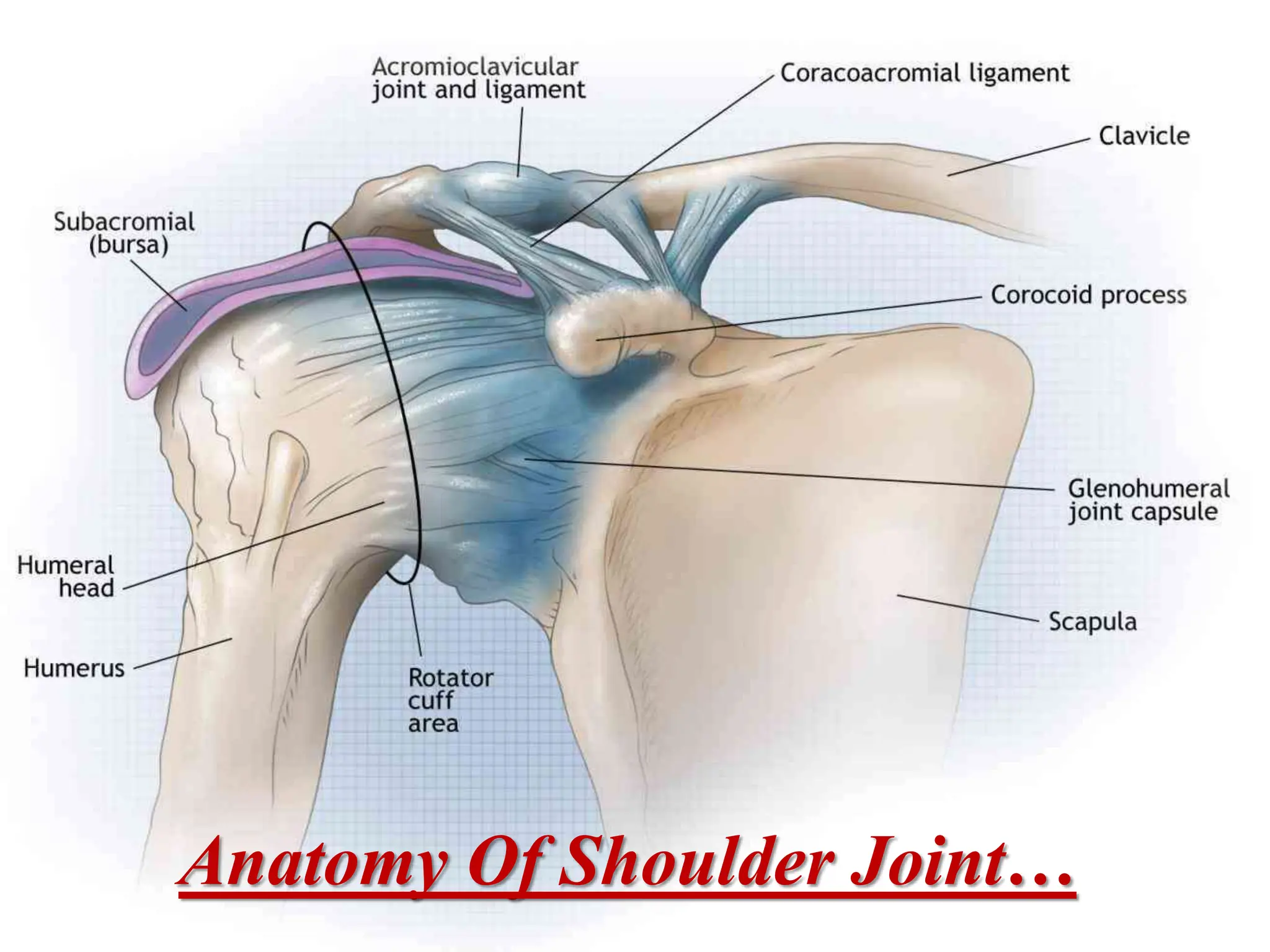 Shoulder Joint - Introduction, Examination,Frozen shoulder # ...