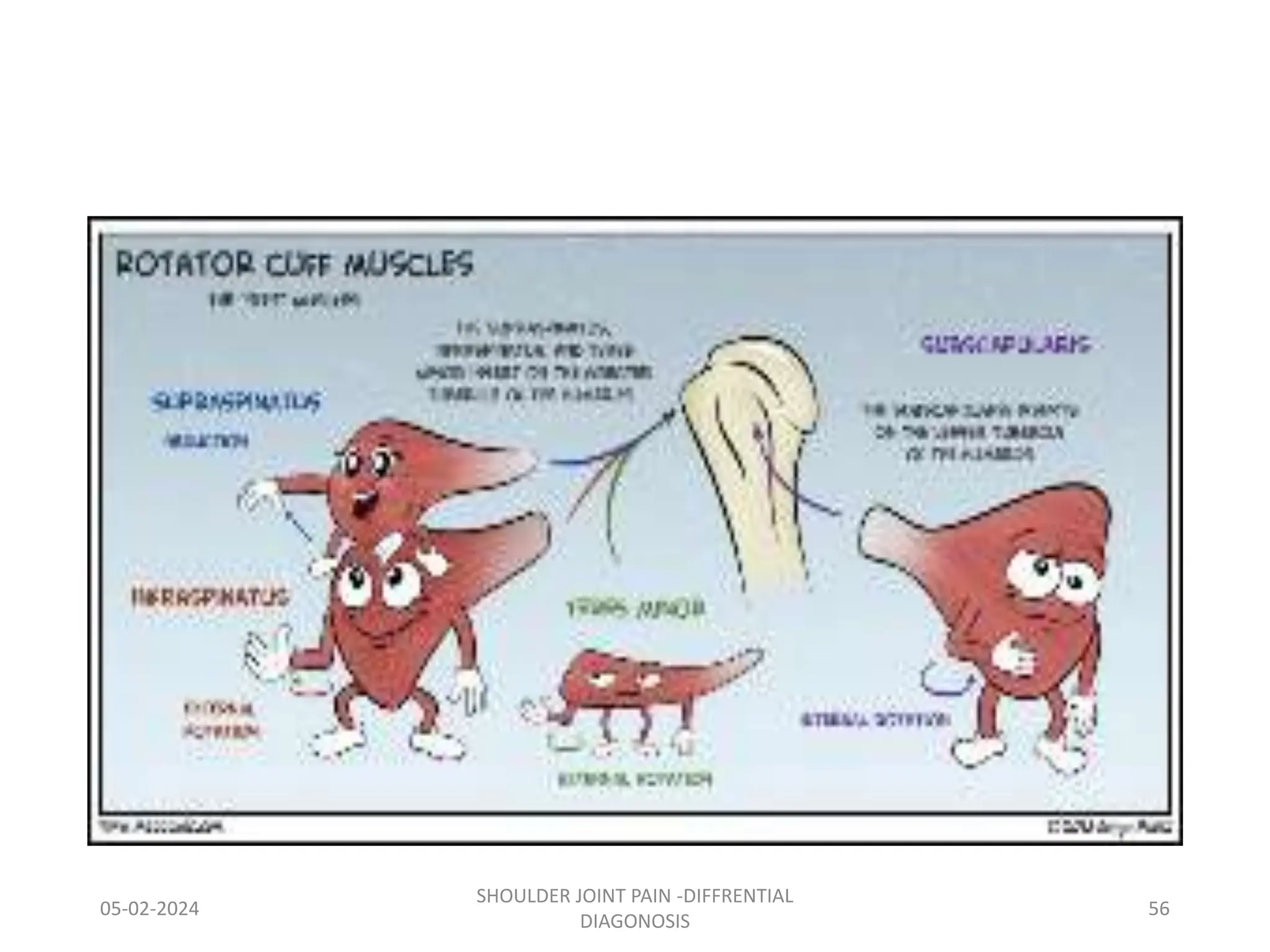 Shoulder Joint - Introduction, Examination,Frozen shoulder # ...