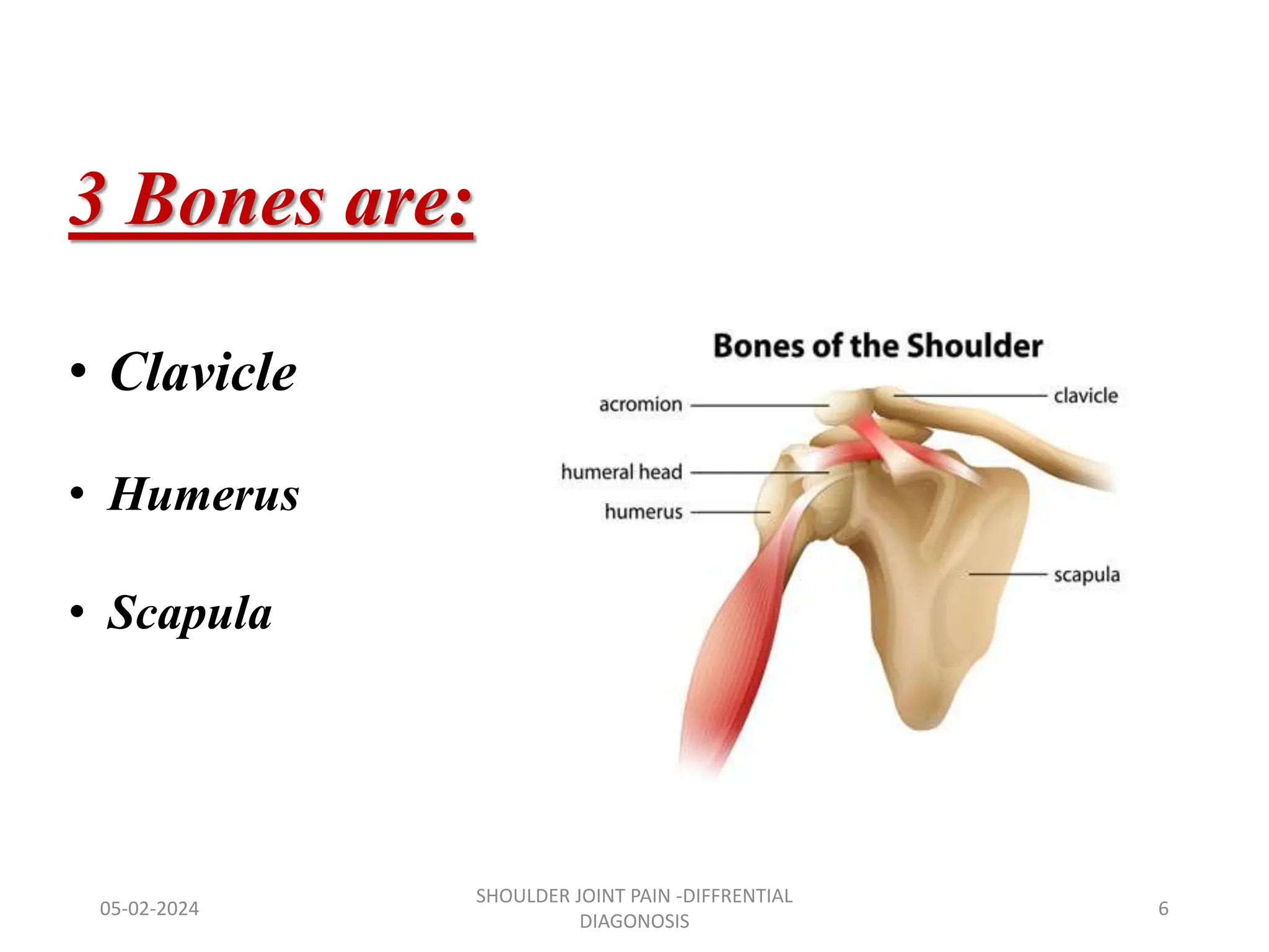 Shoulder Joint - Introduction, Examination,Frozen shoulder # ...
