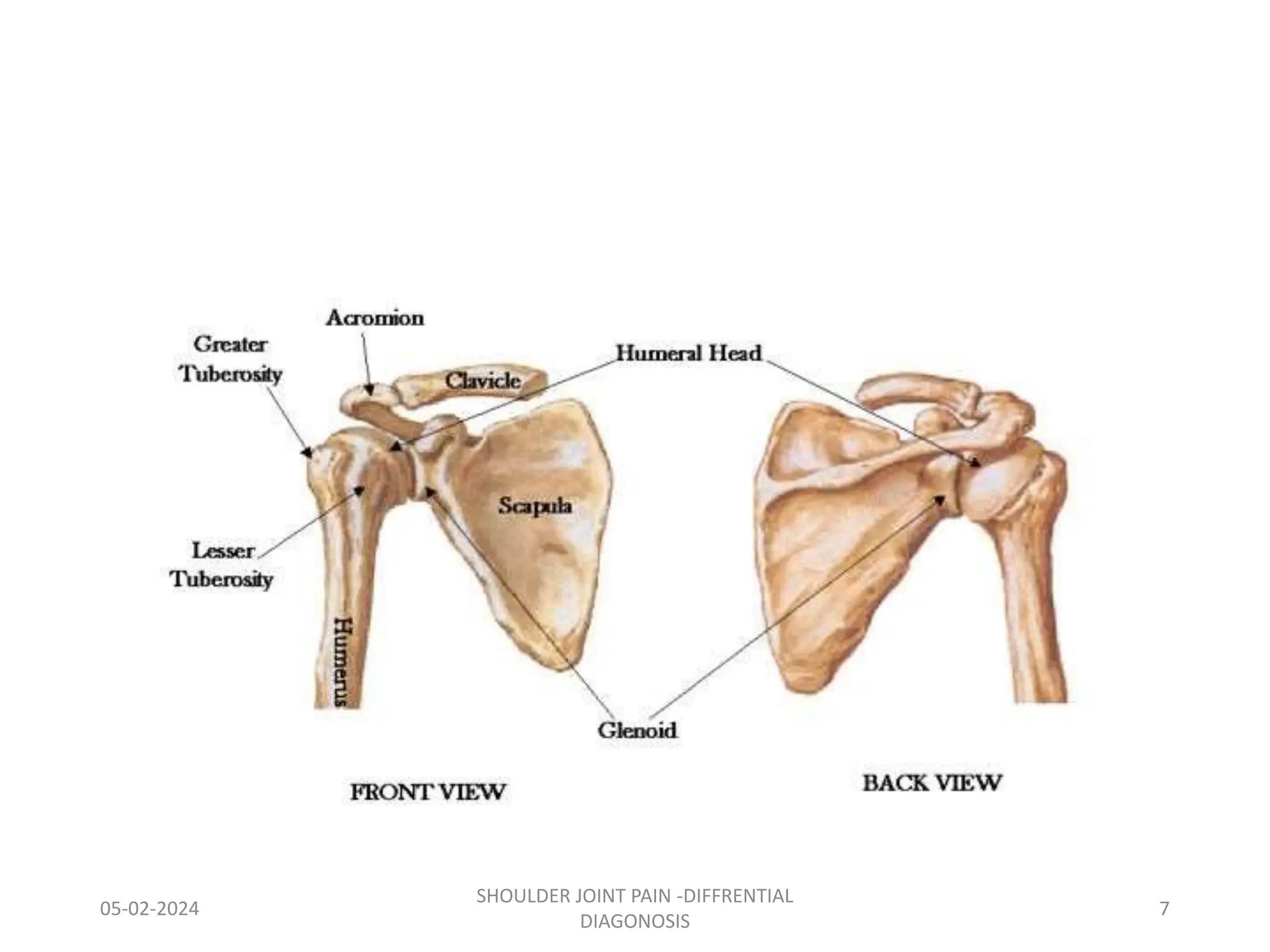 Shoulder Joint - Introduction, Examination,Frozen shoulder # ...