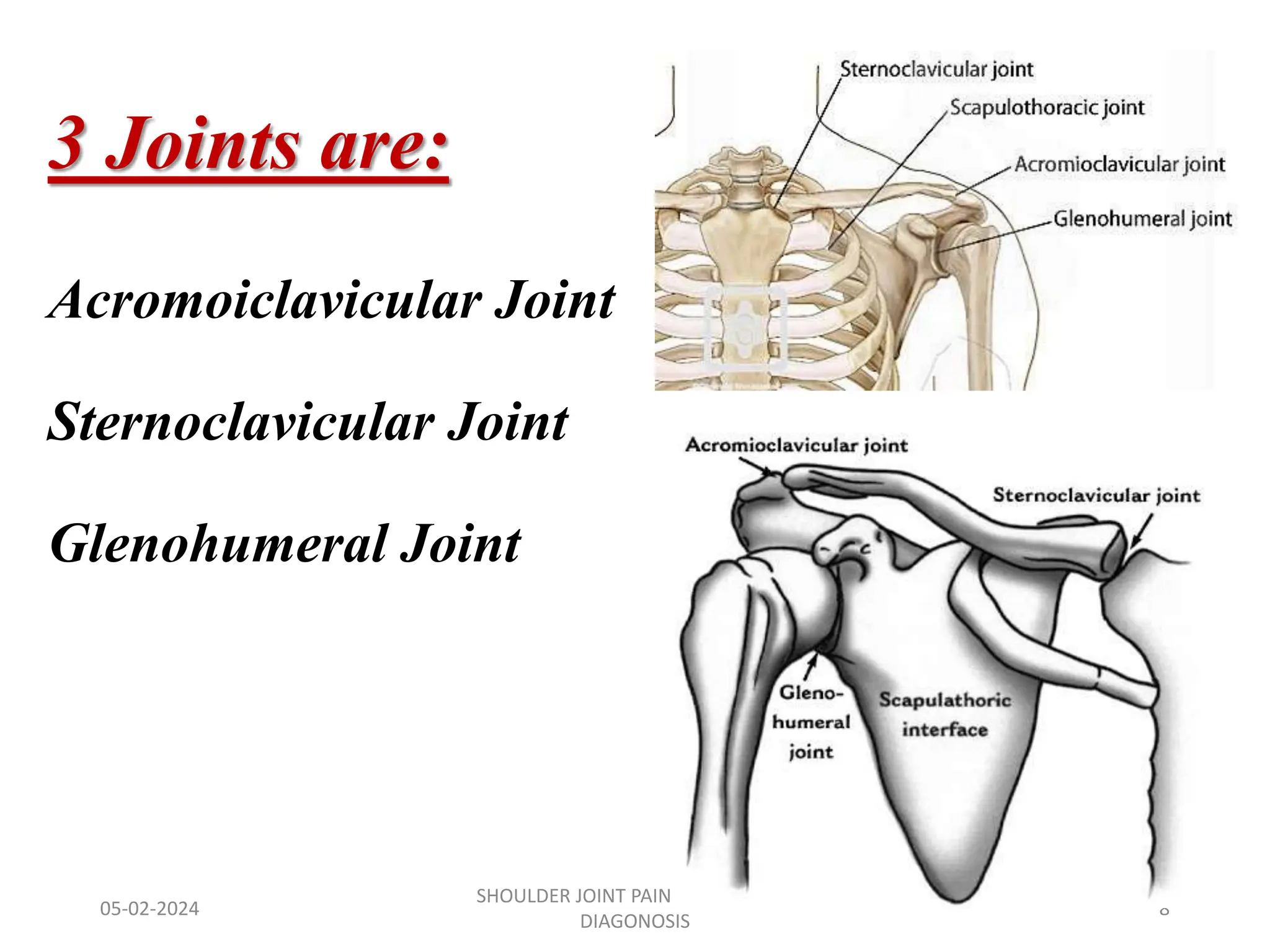 Shoulder Joint - Introduction, Examination,Frozen shoulder # ...