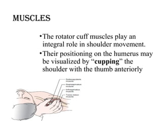 Musculoskeletal Physiotherapy Shoulder Joint.pptx