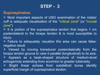Shoulder joint by dr vineet | PPT