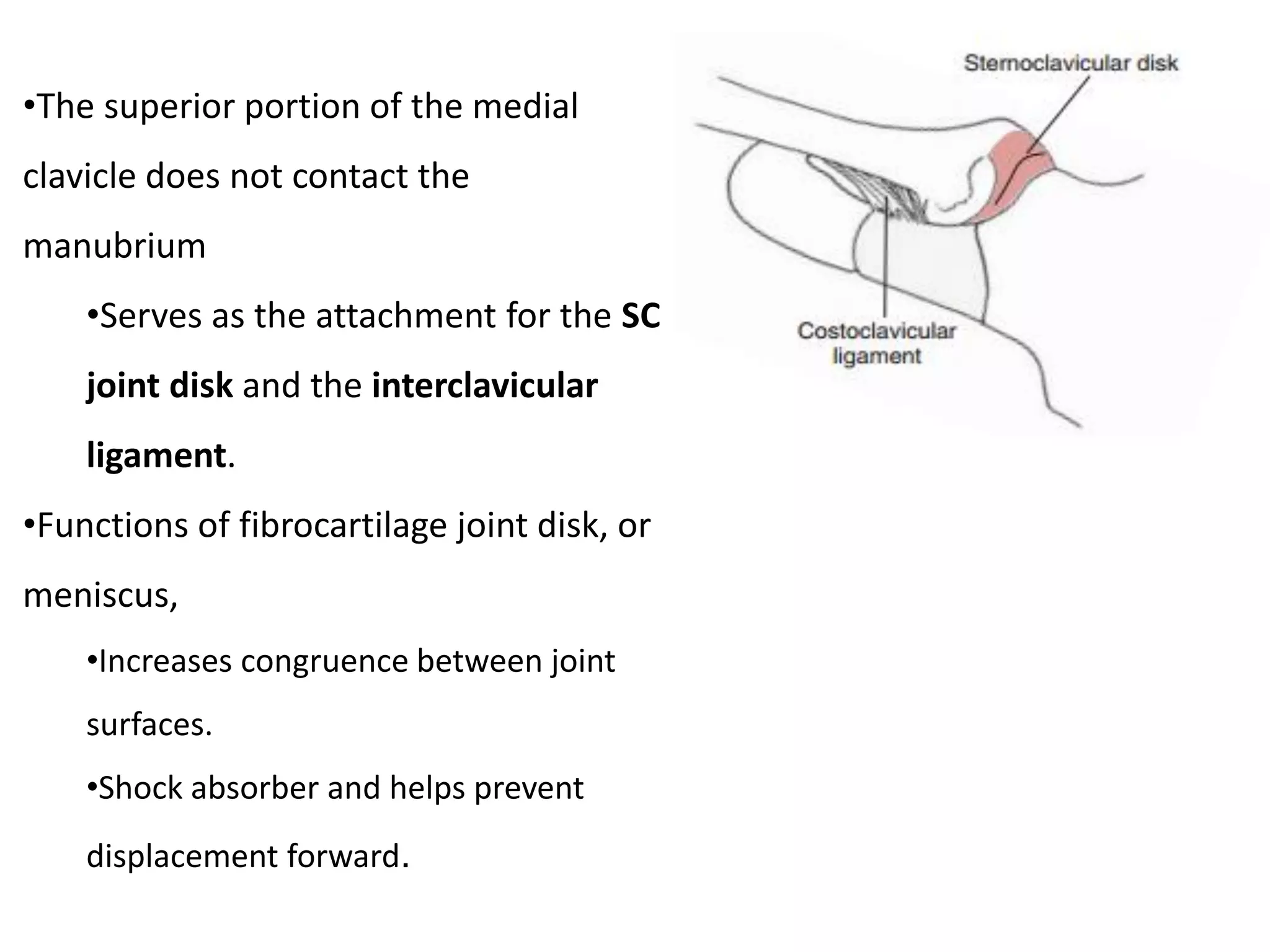 Shoulder joint BIOMECHANICS. | PDF