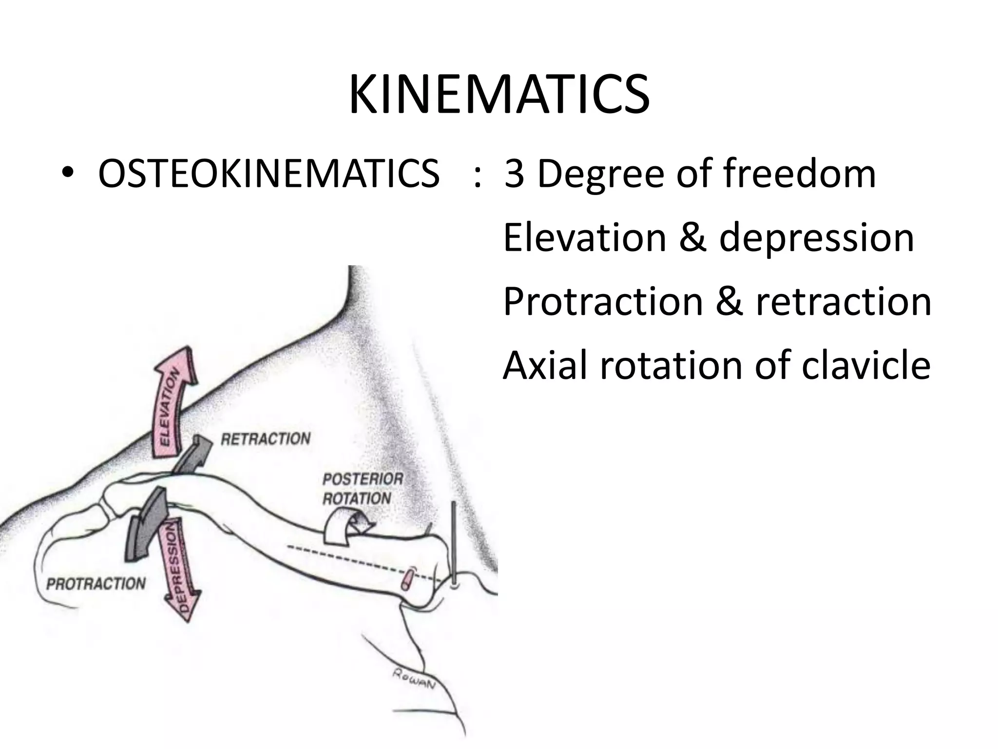 Shoulder joint BIOMECHANICS. | PDF