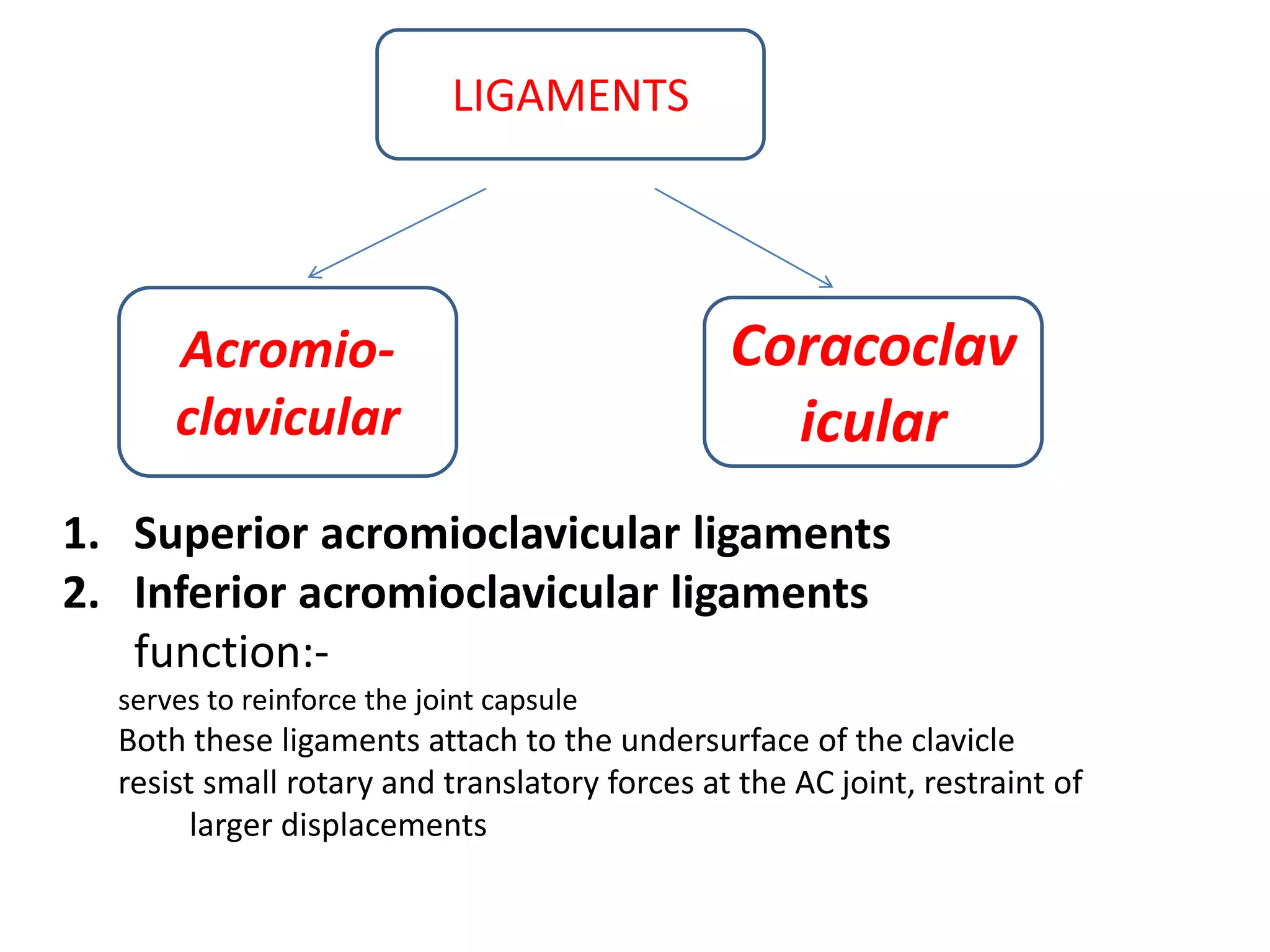 Shoulder joint BIOMECHANICS. | PDF