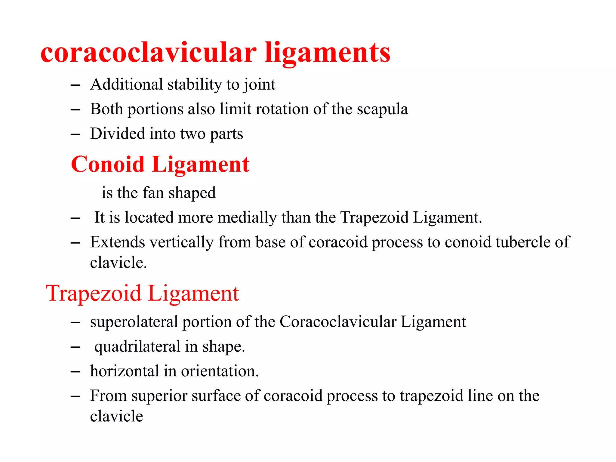 Shoulder joint BIOMECHANICS. | PDF