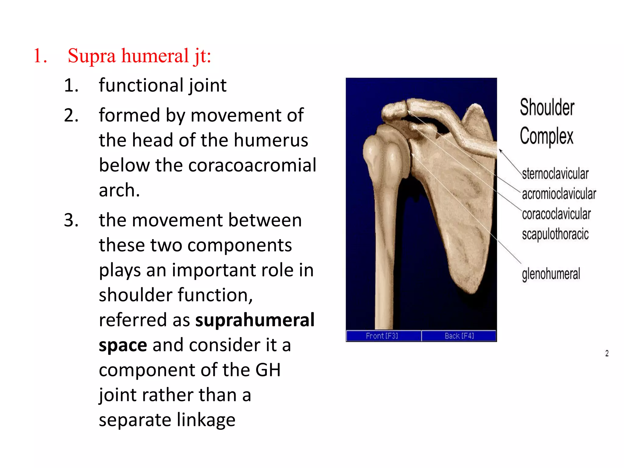 Shoulder joint BIOMECHANICS. | PDF