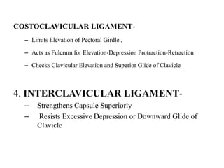 Shoulder joint BIOMECHANICS. | PDF