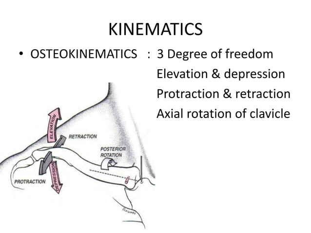 Shoulder joint BIOMECHANICS. | PDF