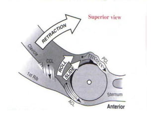 Shoulder joint BIOMECHANICS. | PDF
