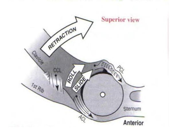 Shoulder joint BIOMECHANICS. | PDF