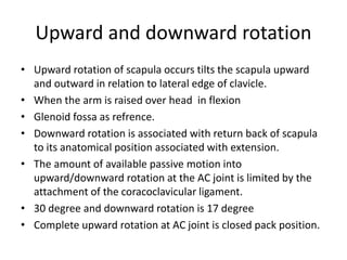 Shoulder joint BIOMECHANICS. | PDF