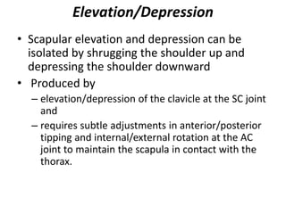 Shoulder joint BIOMECHANICS. | PDF