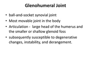 Shoulder joint BIOMECHANICS. | PDF