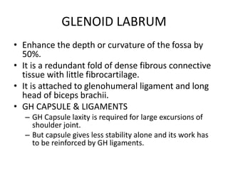 Shoulder joint BIOMECHANICS. | PDF