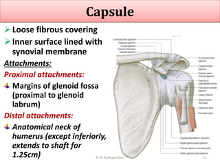 Shoulder Joint -pdf lecture notes Dr.N.Mugunthan.M.S | PDF
