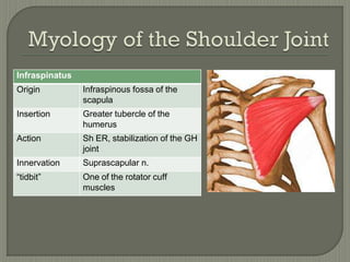Biomechanics of Shoulder joint 04 | PPT