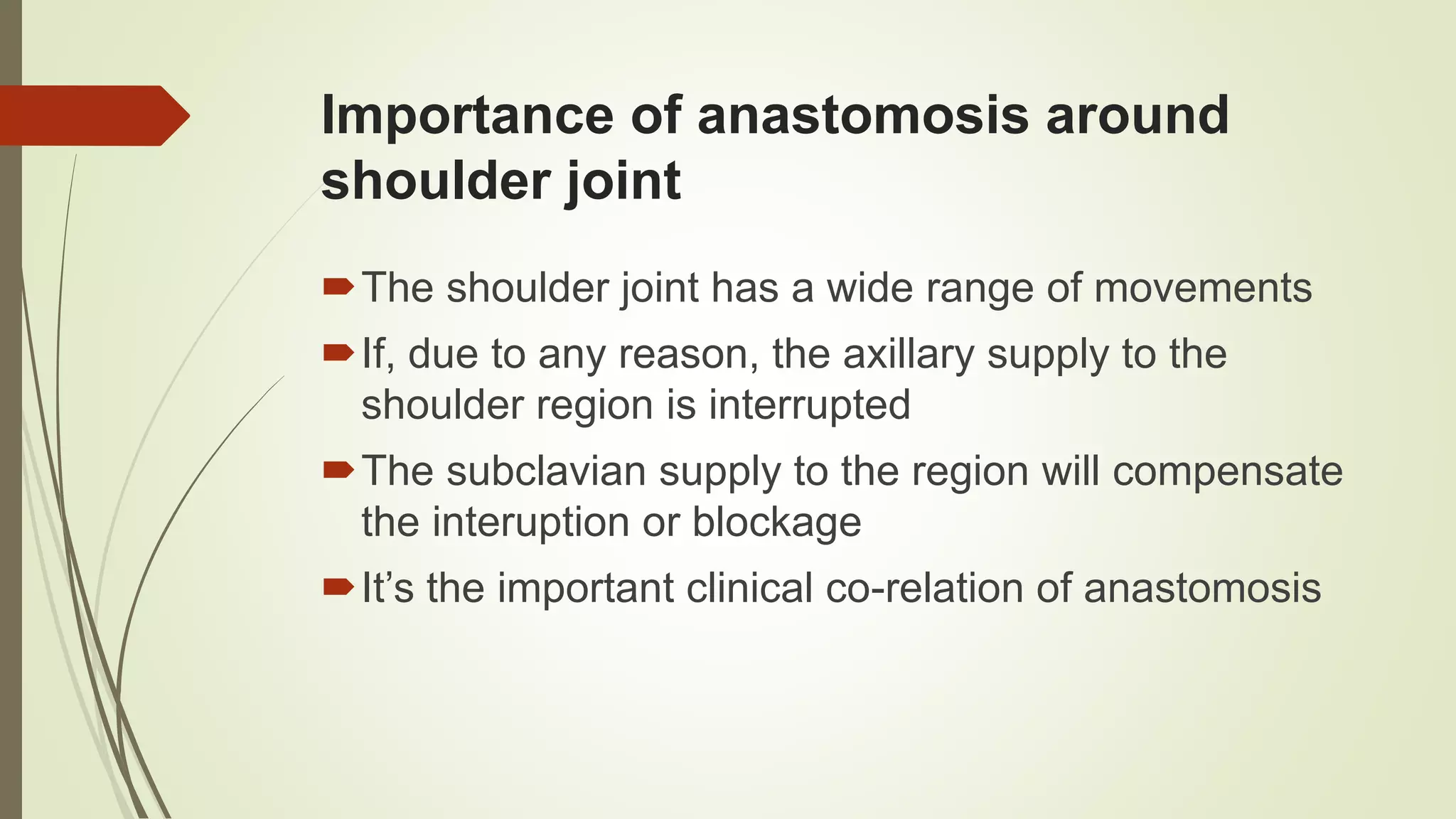 Anastomosis around shoulder joint, anatomy | PPTX