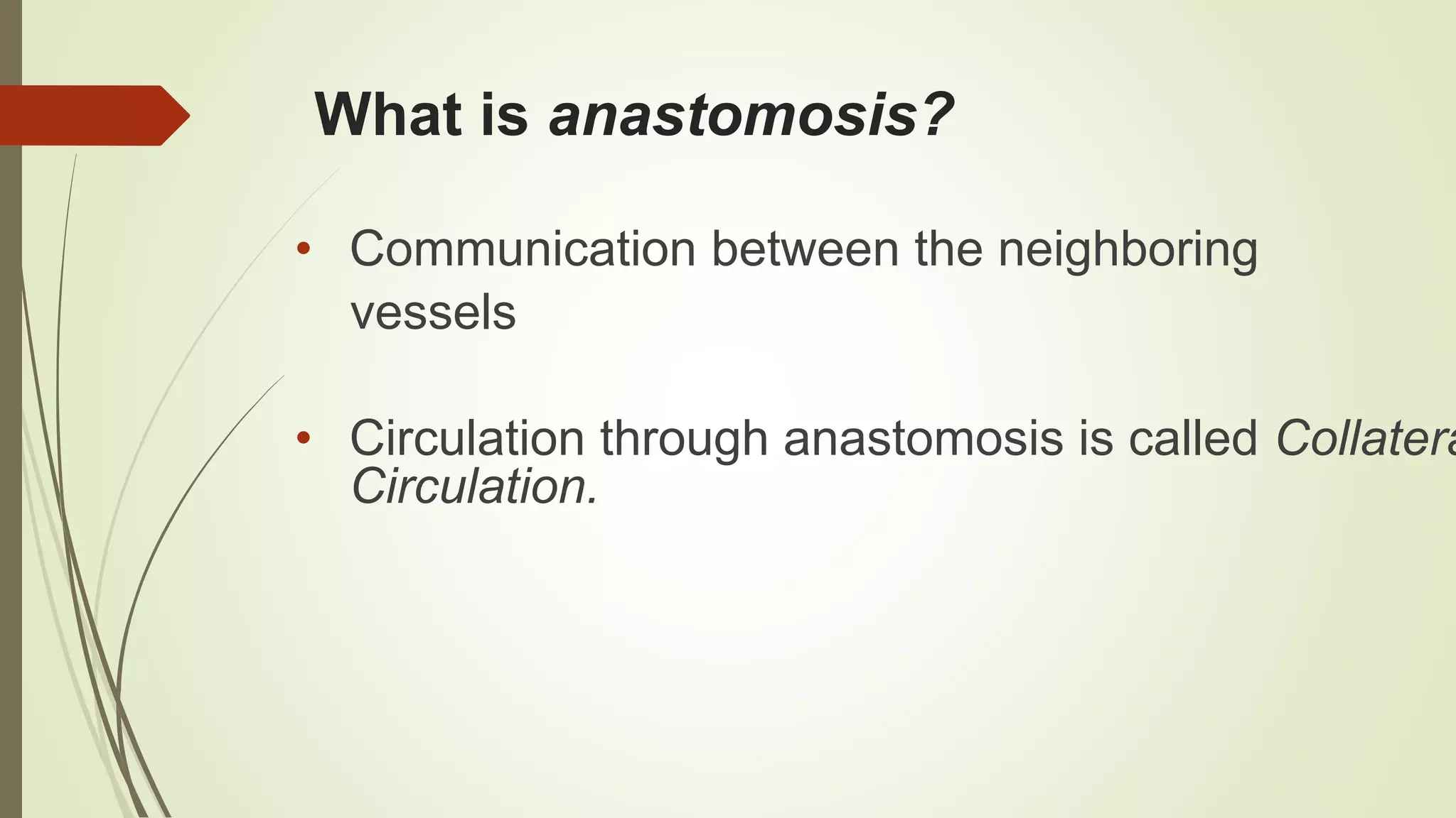 Anastomosis around shoulder joint, anatomy | PPTX