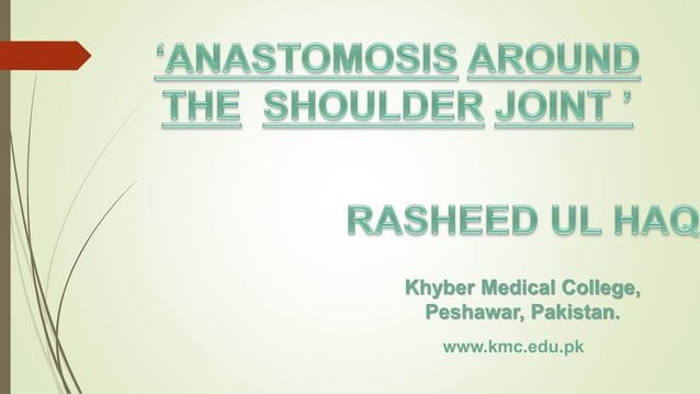 Anastomosis around shoulder joint, anatomy | PPTX