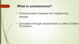 Anastomosis around shoulder joint, anatomy | PPTX