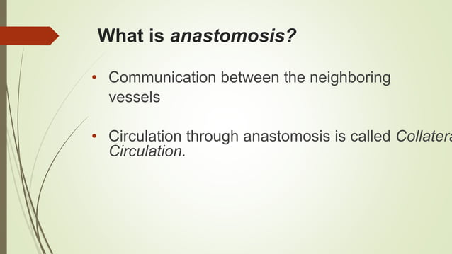 Anastomosis around shoulder joint, anatomy | PPTX