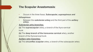Anastomosis around shoulder joint, anatomy | PPTX