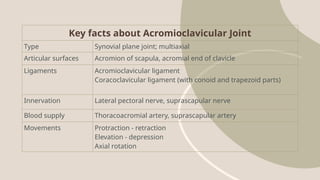 Shoulder Joint Anatomical structures and clinical implications | PPTX