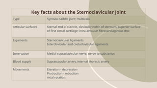 Shoulder Joint Anatomical structures and clinical implications | PPTX