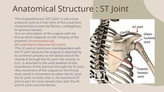 Shoulder Joint Anatomical structures and clinical implications | PPTX