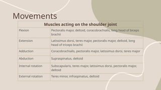 Shoulder Joint Anatomical structures and clinical implications | PPT