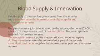 Shoulder Joint Anatomical structures and clinical implications | PPT