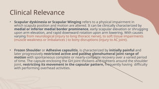 Shoulder Joint Anatomical structures and clinical implications | PPTX
