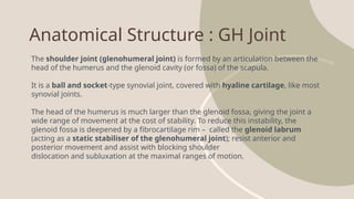 Shoulder Joint Anatomical structures and clinical implications | PPT