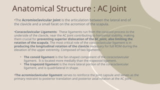 Shoulder Joint Anatomical structures and clinical implications | PPTX