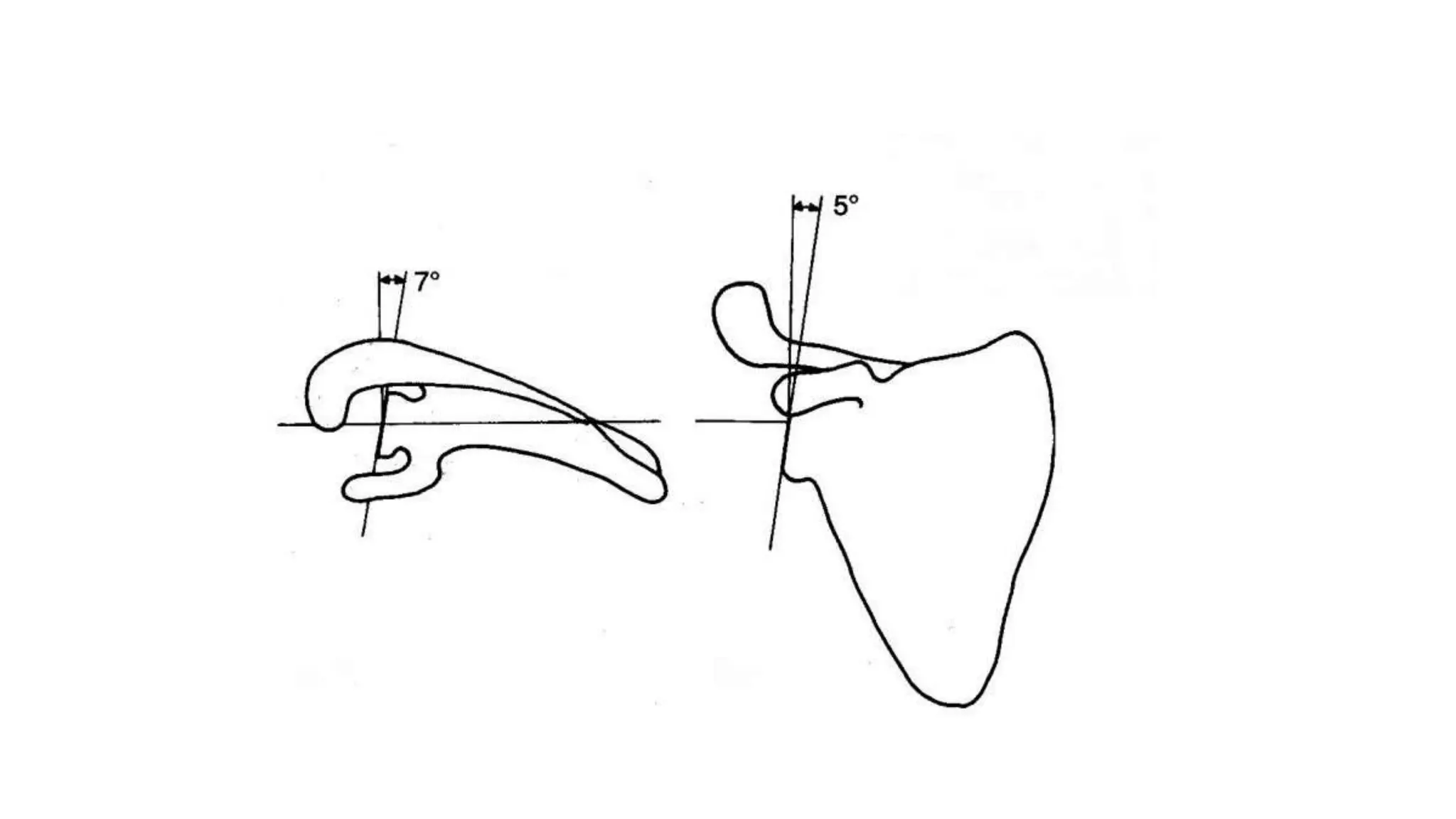 Shoulder joint biomechanics | PPT