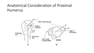 Shoulder joint biomechanics | PPT