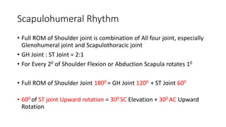 Shoulder joint biomechanics | PPT