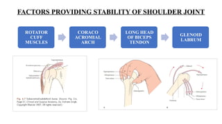 SHOULDER JOINT COMPLEX.pptx.............. | PPTX