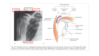 SHOULDER JOINT COMPLEX.pptx.............. | PPTX