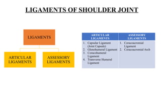 SHOULDER JOINT COMPLEX.pptx.............. | PPT