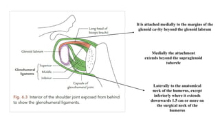 SHOULDER JOINT COMPLEX.pptx.............. | PPT